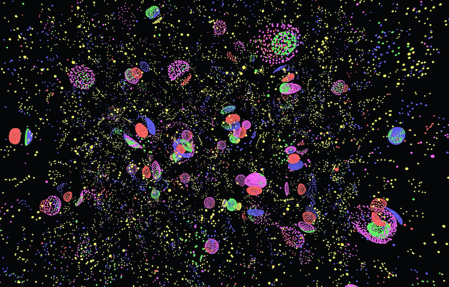 Particle Life